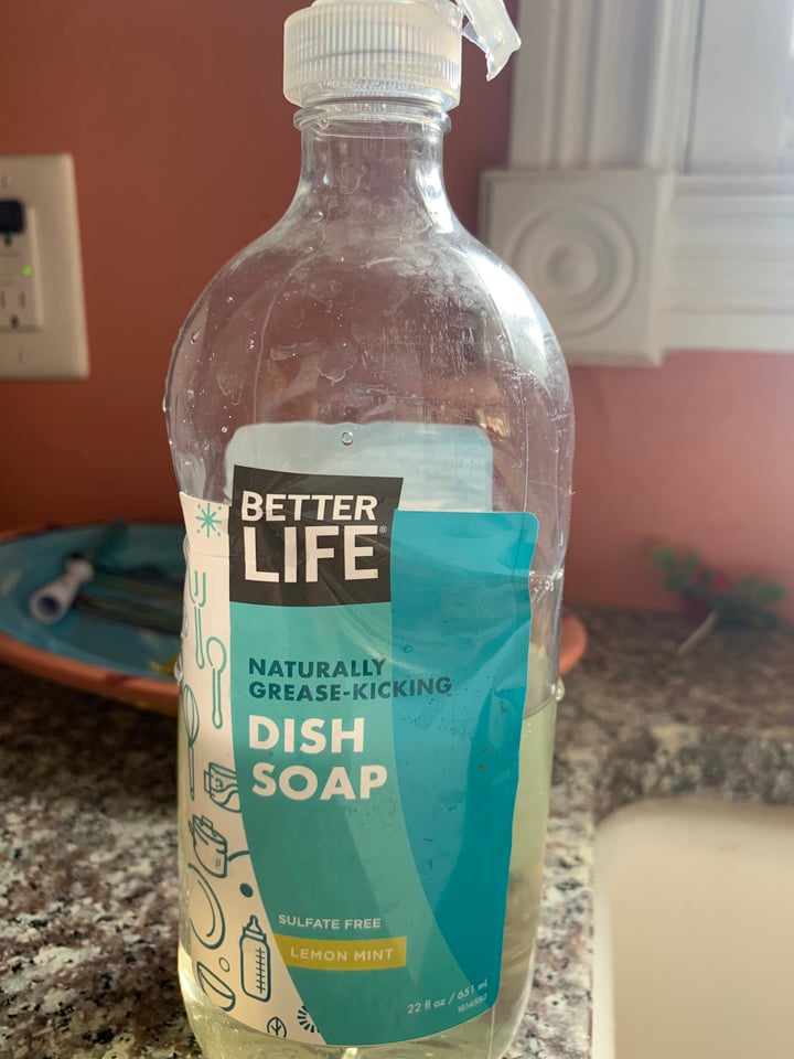 Better Life Dish Soap Lemon Mint Review | abillion