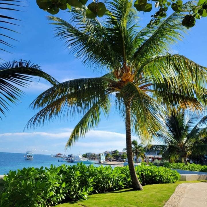 Red Lane Spa Age Defying Probiotic Lotion + Organic Shea & Lotus Review ...