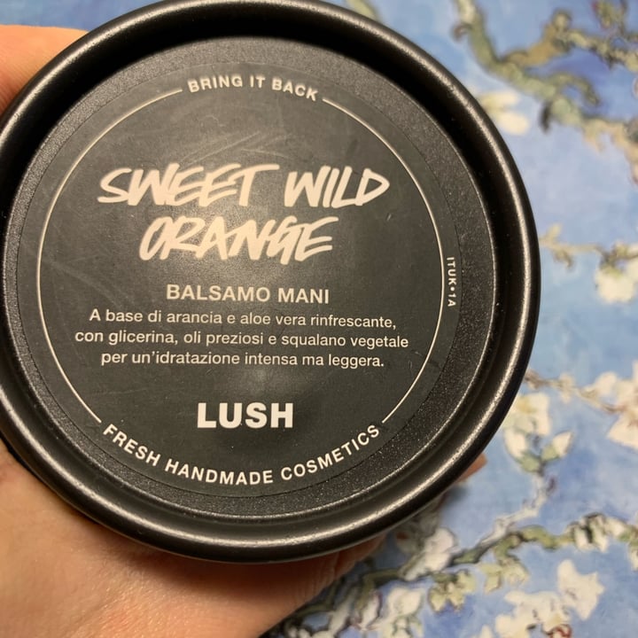 LUSH Fresh Handmade Cosmetics Sweet wild orange Review | abillion