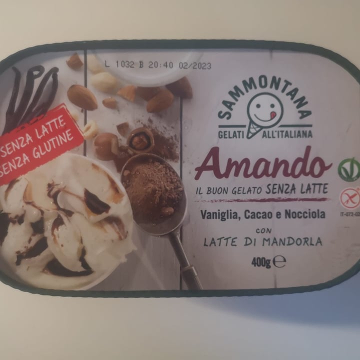 Sammontana Amando Sammontana gelato Vaniglia Cacao Nocciola Review | abillion
