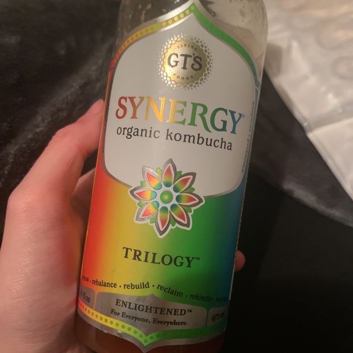 GT’s Living Foods synergy organic kombucha Review | abillion