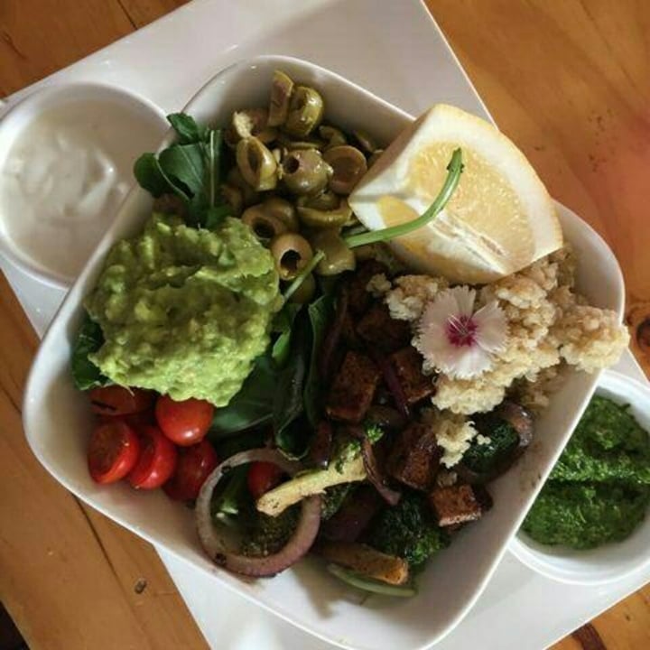 Vegan Place (viña del mar) Chile Green bowl Review | abillion