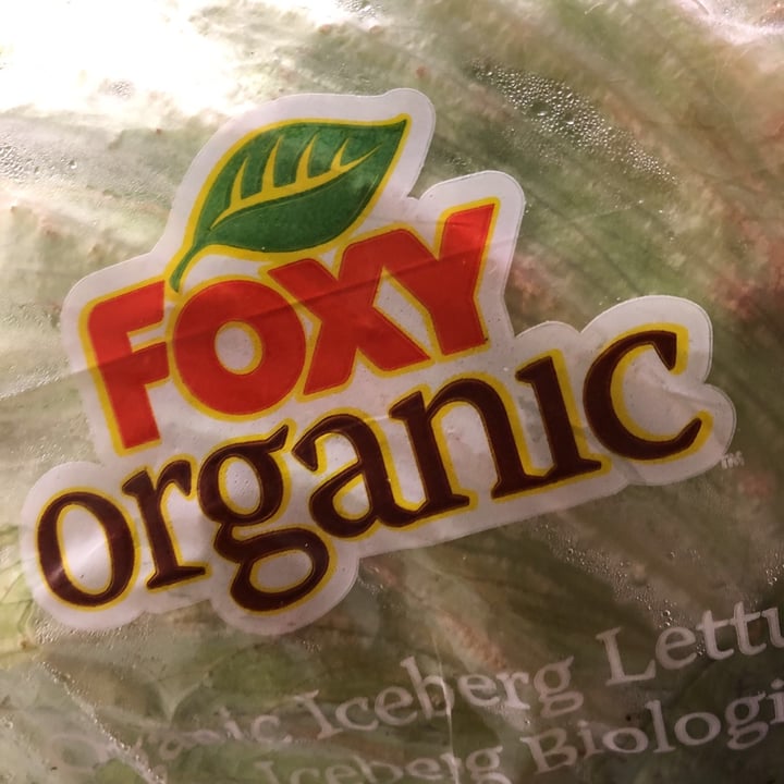 Foxy Organic Iceberg lettuce Review | abillion