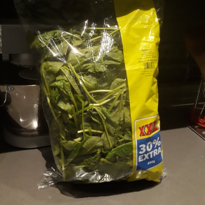 Vemondo Spinaci xxl Review | abillion