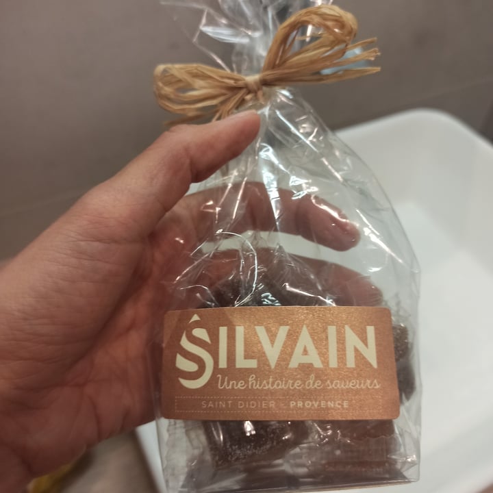 Silvain Reviews | abillion