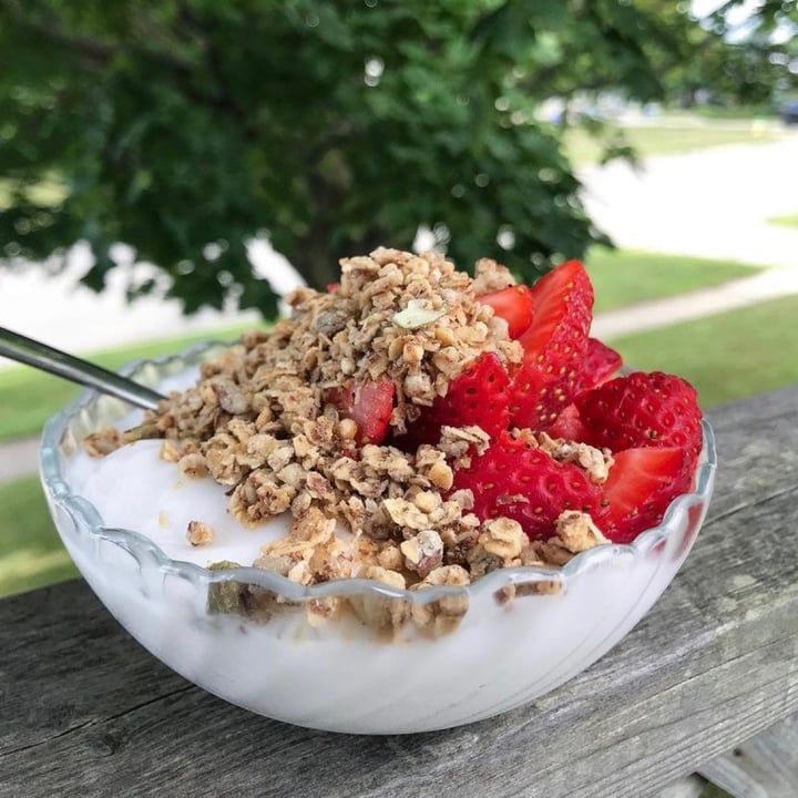 President's Choice Dairy-Free Plain Cultured Coconut Milk Probiotic ...