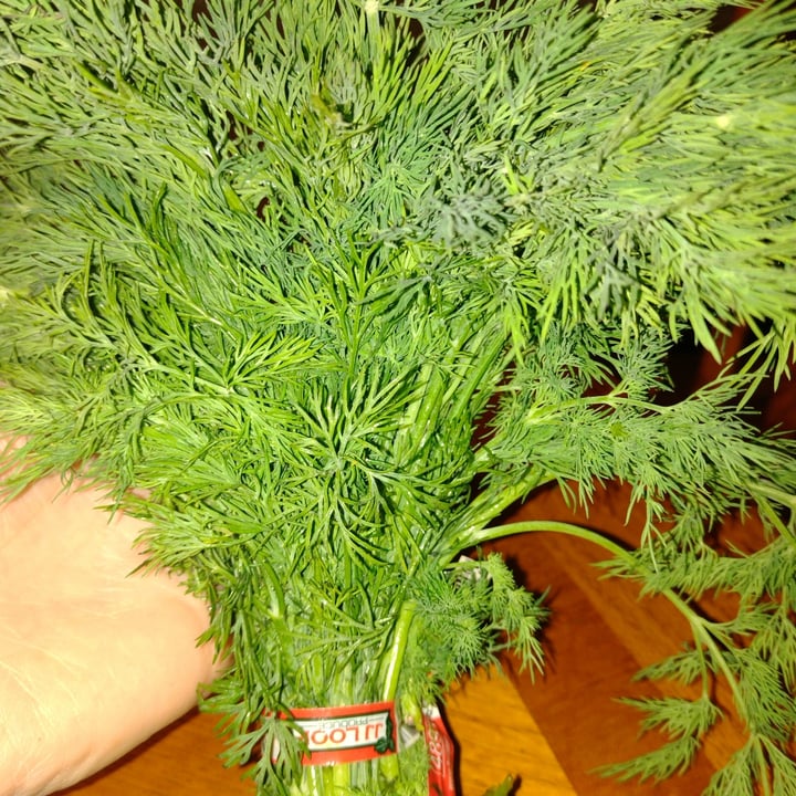 jj loop Reviews | abillion