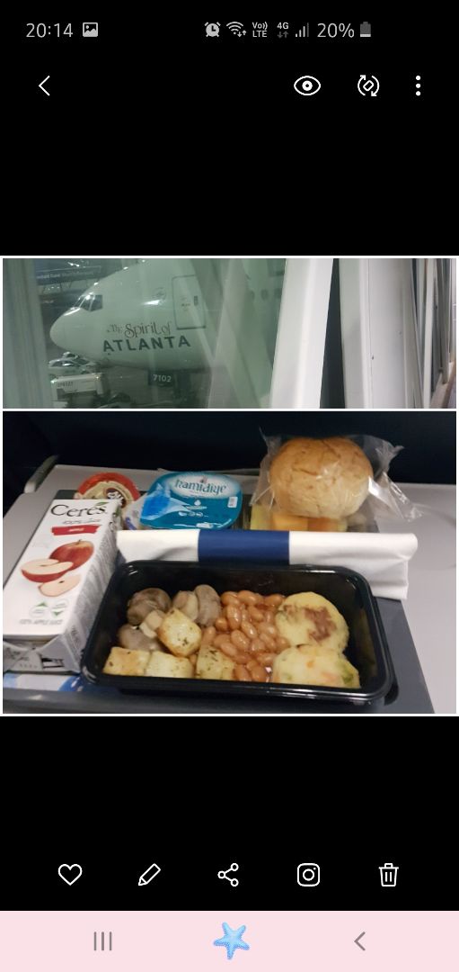 DELTA AIRLINES Vegan Breakfast Reviews | abillion