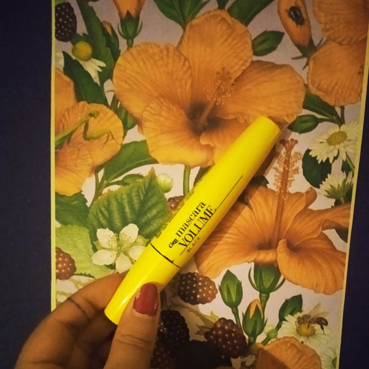 Cien Mascara volume Review | abillion