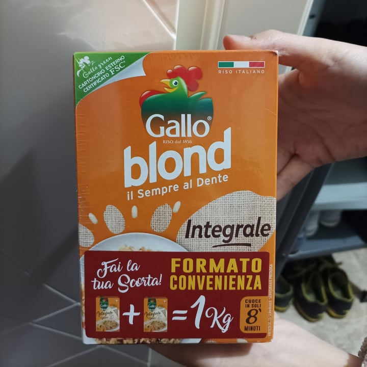 Gallo Riso blond integrale Review | abillion