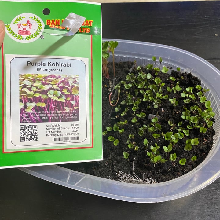 Ban Lee Huat Seed Pte Ltd Purple Kohlrabi Reviews Abillion