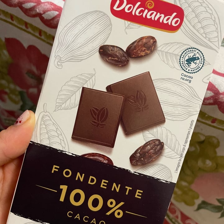 Dolciando Fondente 100% cacao Review | abillion