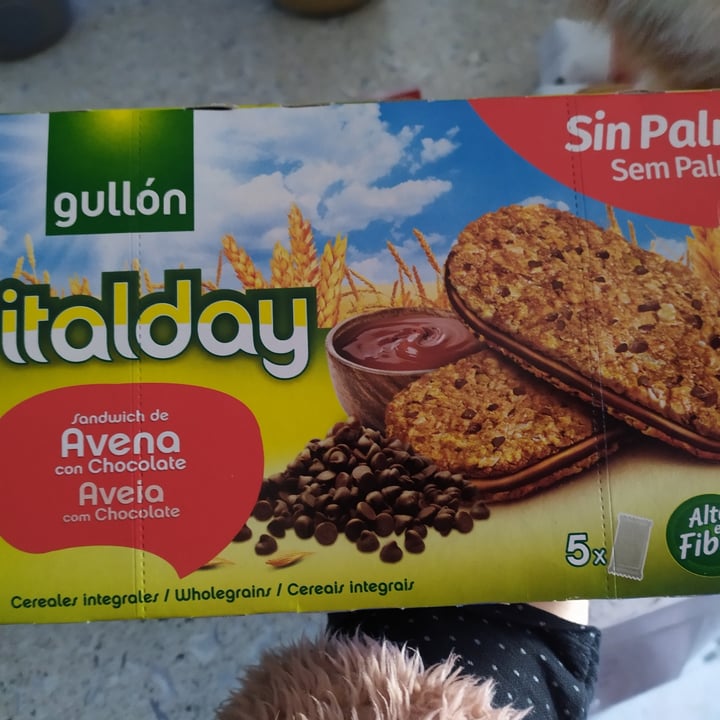Gullón Galletas de avena y chocolate Review | abillion