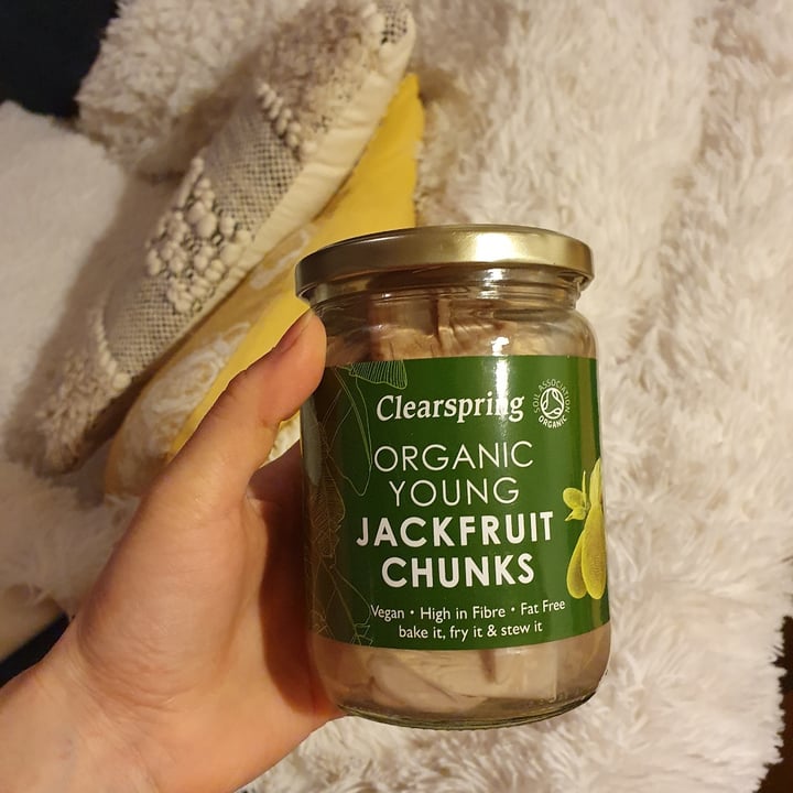 Clearspring Organic Young Jack Fruit Chunks Review | abillion