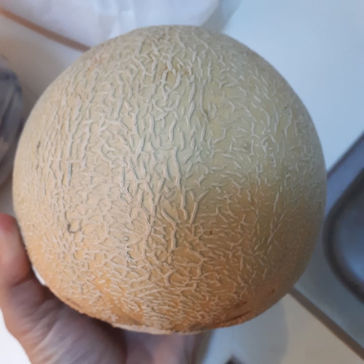 G.E.A. Frutta Rapallo, Italy Melone reticolato Review | abillion