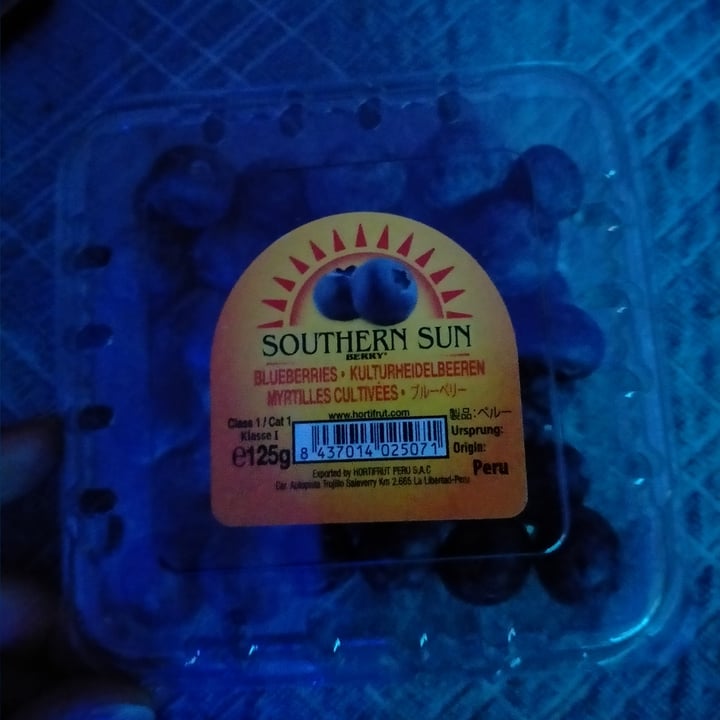 southern sun Bluberries Review | abillion