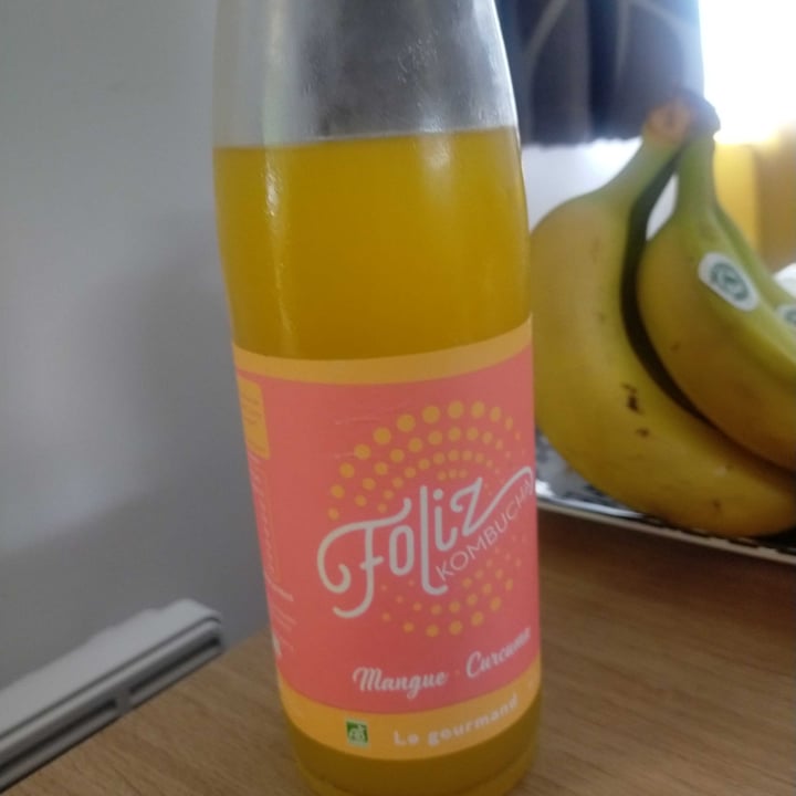 foliz kombucha kombucha Review | abillion