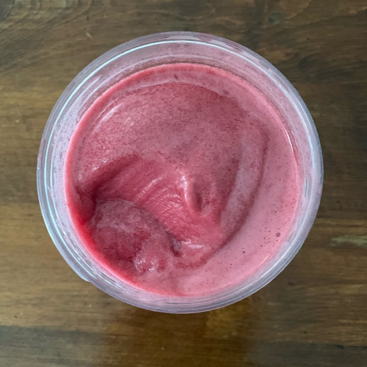 Talenti Gelato Dairy Free Roman Raspberry Sorbetto Review | abillion