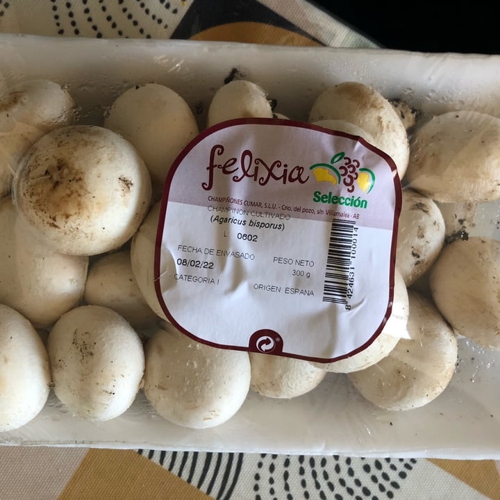 Felixia Champiñones Review | abillion