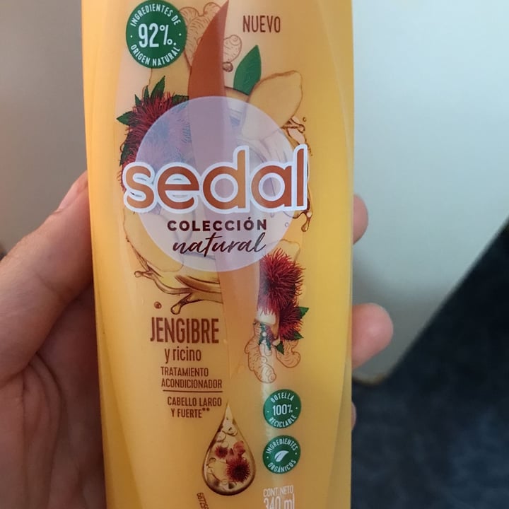 Sedal Jengibre y Ricino Review | abillion