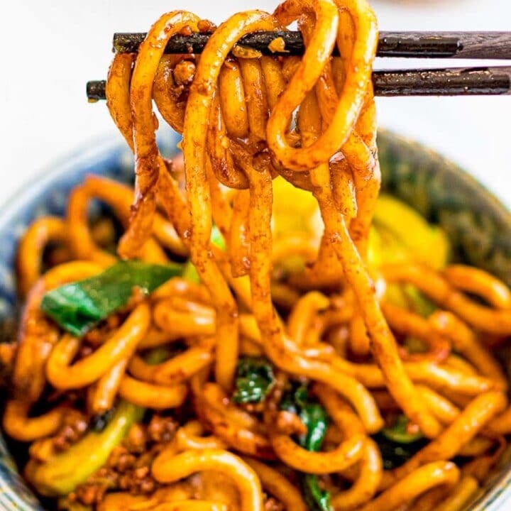 Fu Xing Japanese Style Udon Noodles Review | abillion