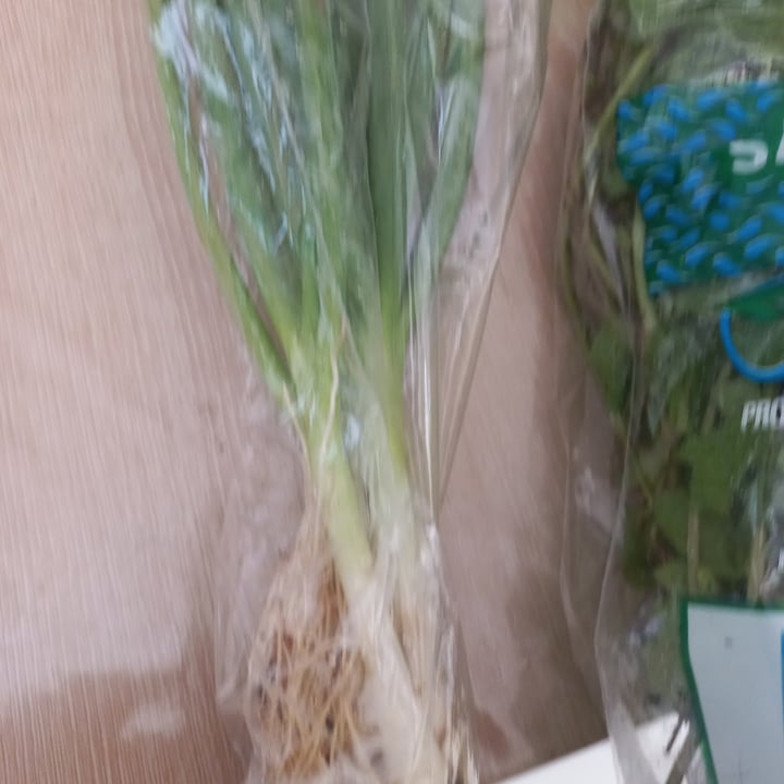 cebolinha fresca Reviews | abillion