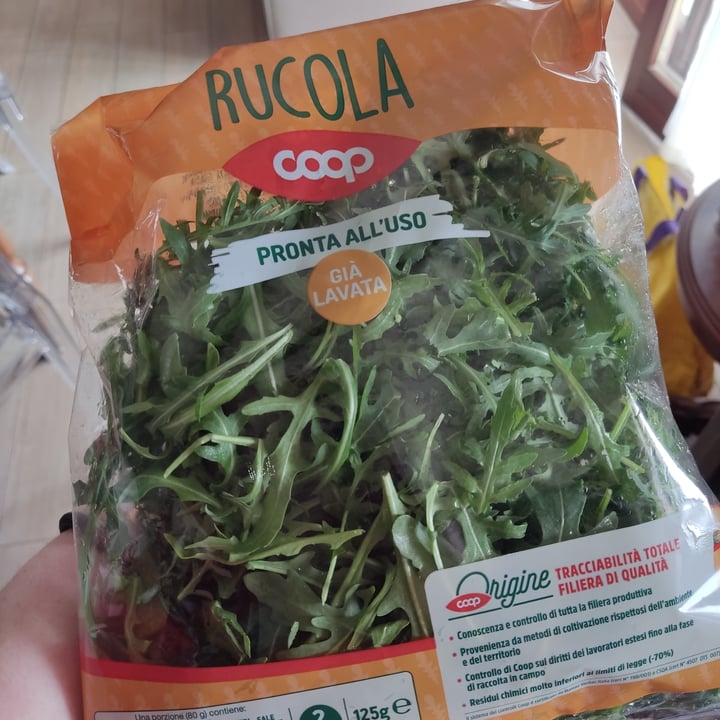 Coop Rucola Review | abillion