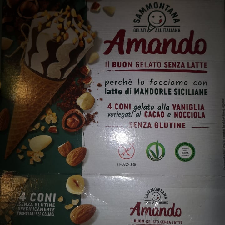 sammontana amando Coni gelato alla vaniglia variegati al cacao e nocciole Review | abillion