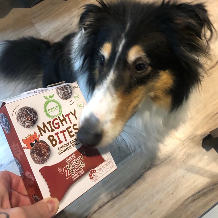 Macro Wholefoods Market Mighty Bites Cheeky Cocoa Crunch Balls Review ...