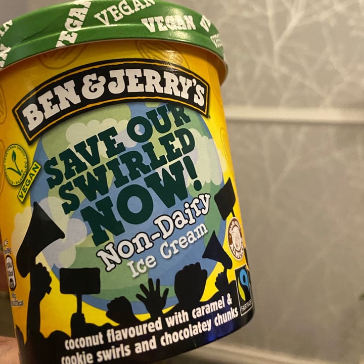 Ben & Jerry's Save Our Swirled Now! Non-Dairy Ice Cream Review | abillion