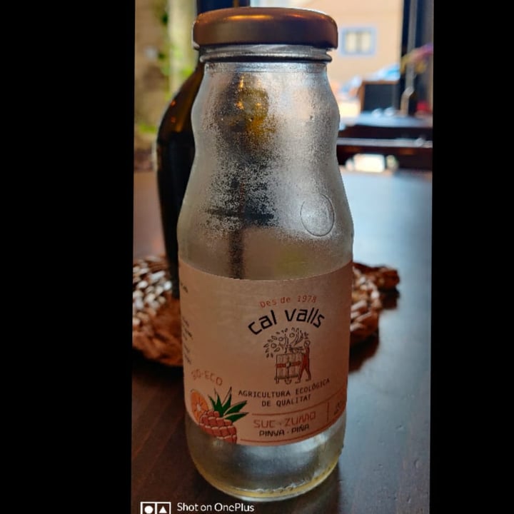 Cal Valls Suc de pinya Review | abillion
