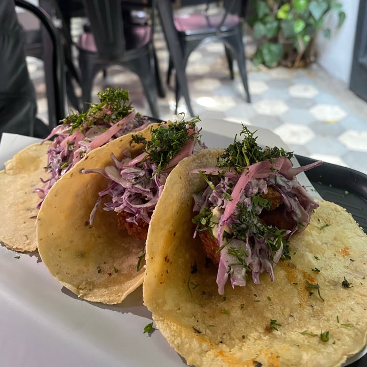 Elektra Punk & Food Quinta Camacho, Comuna Chapinero, Bogotá, Colombia ...