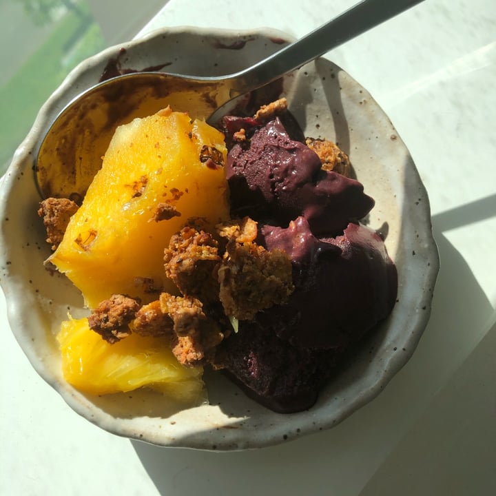 Salted Caramel Artisan Ice Cream Acai Sorbet Pint Review | abillion