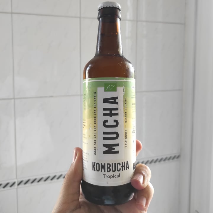 Mucha Kombucha Tropical Review | abillion