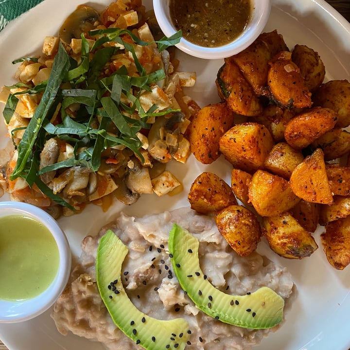 Taco Green La Cruz, Santiago de Querétaro, Mexico Tofu Revuelto Review ...