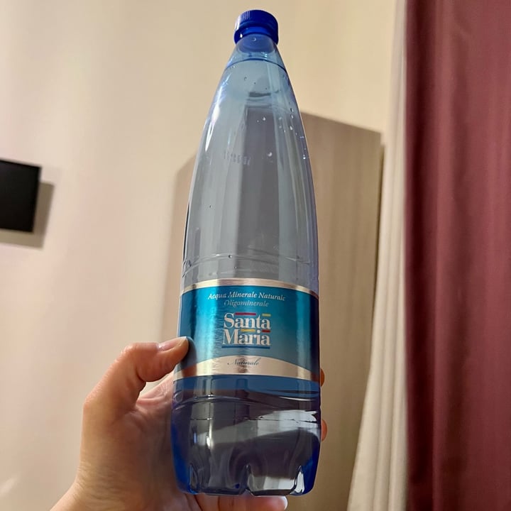 Santa Maria Acqua naturale Review | abillion