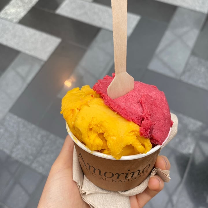 Amorino Victoria Leeds United Kingdom Raspberry & Mango Sorbet Review ...