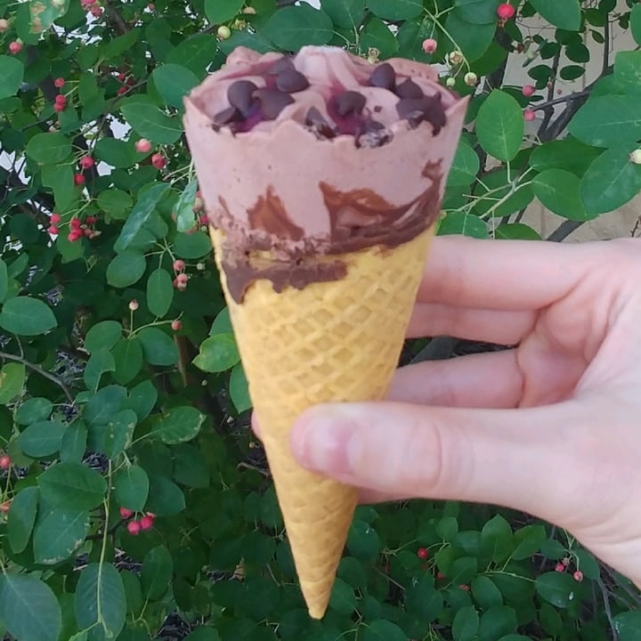 Wicked Chocolate & Red Berry Cone Review | abillion