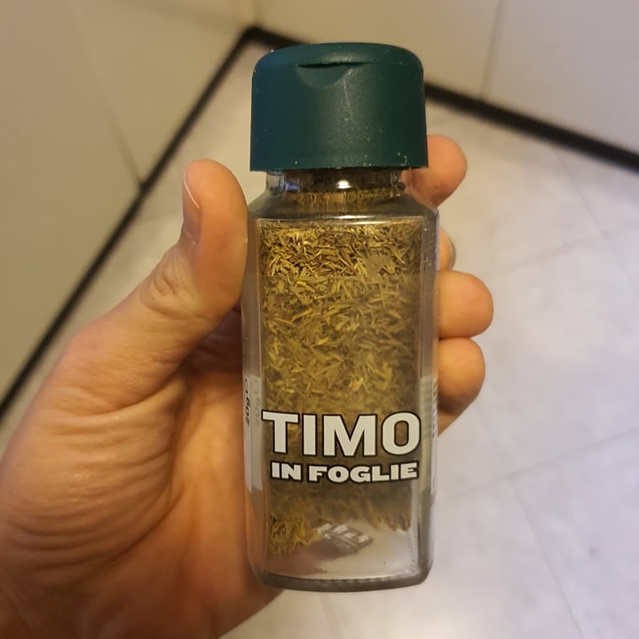 Consilia Timo Review | abillion