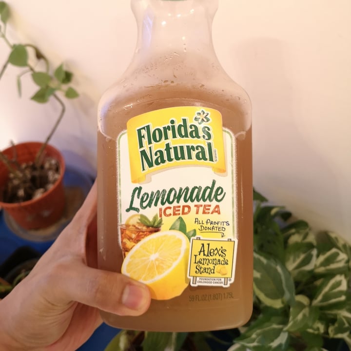 Florida's Natural Lemonade Ice Tea Review | abillion