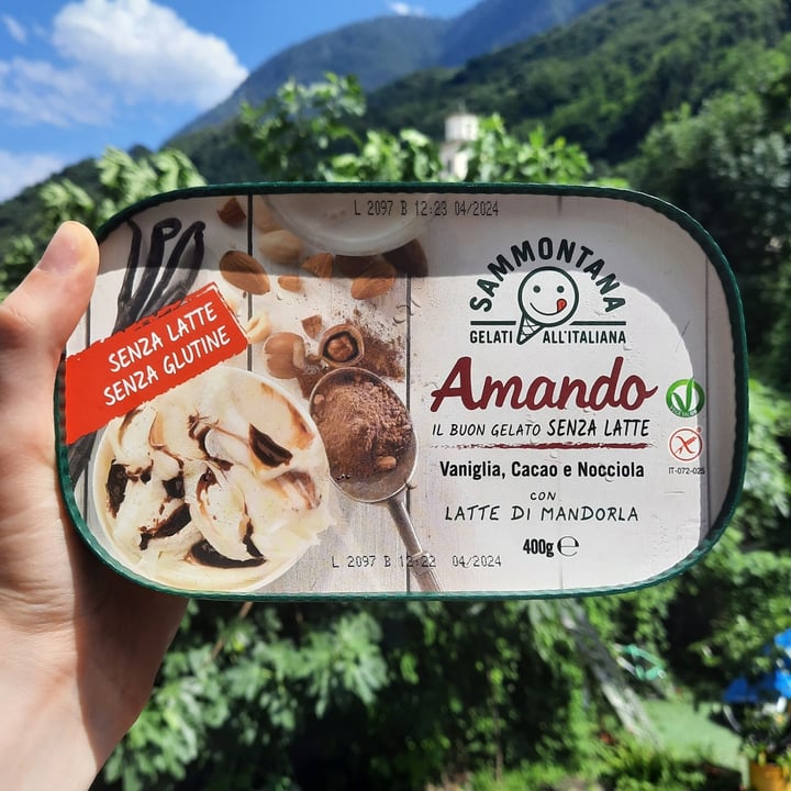 sammontana amando Gelato Vaniglia, Cacao e Nocciola Review | abillion