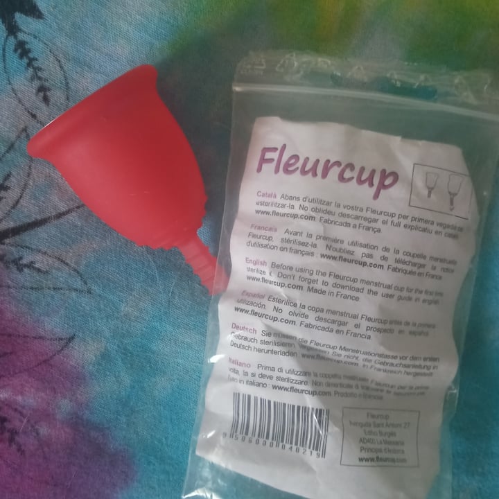 Fleurcup Copa Menstrual Review | abillion