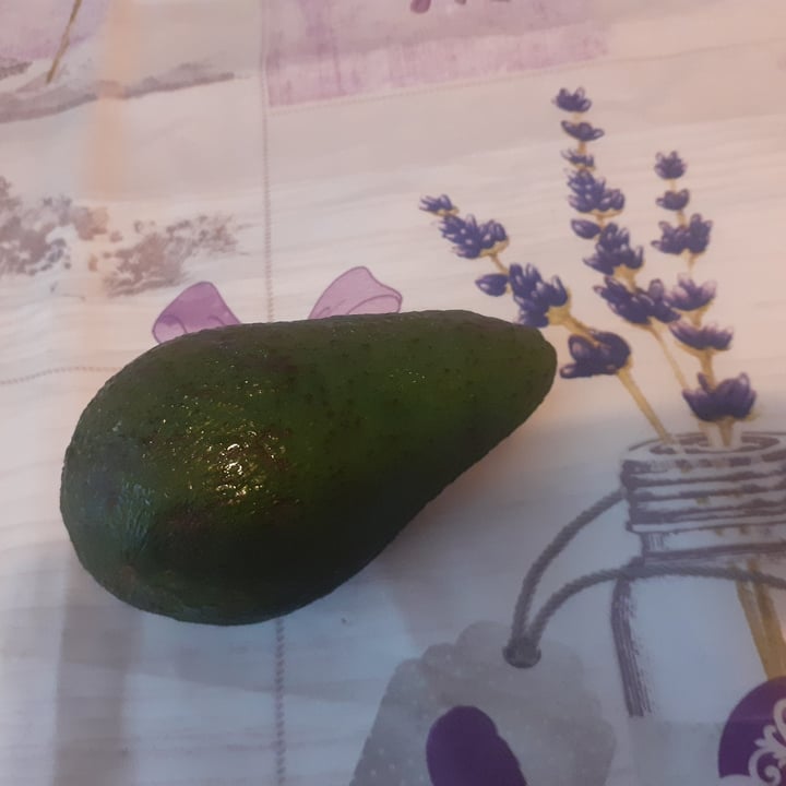 Conad Avocado Review | abillion