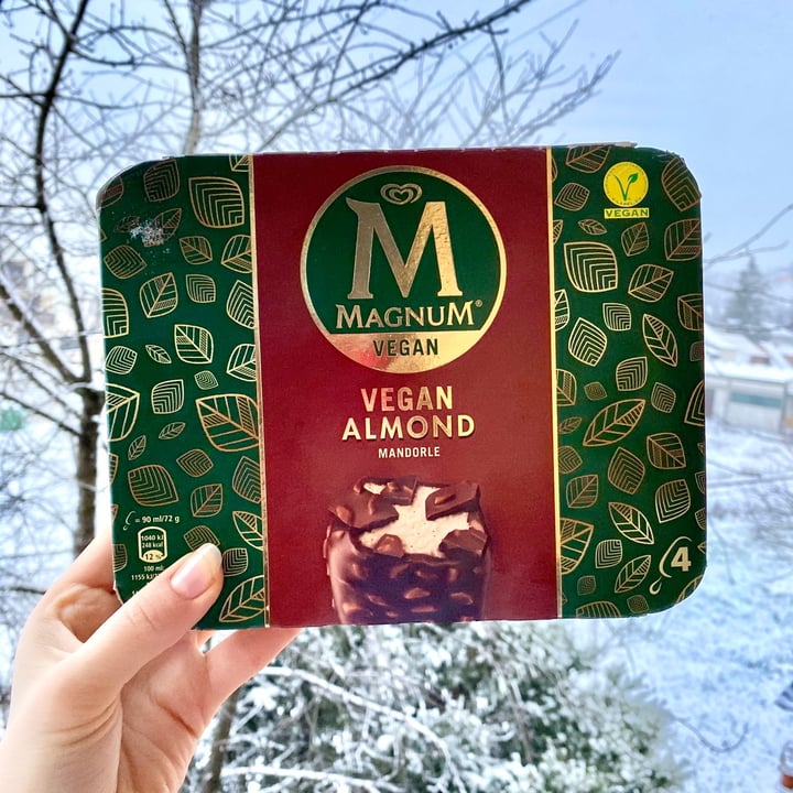 Magnum Dairy Free Almond Review | abillion