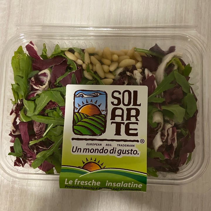 Solarte Reviews | abillion