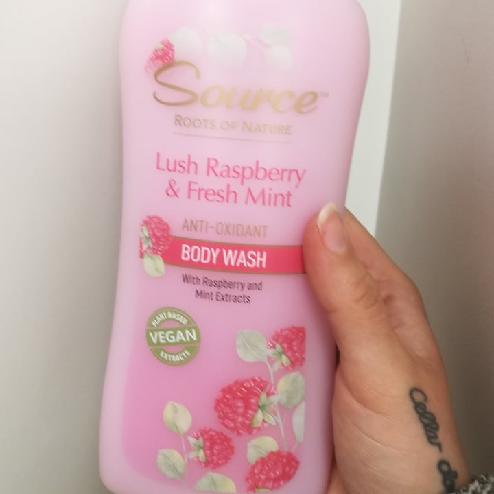 Source Lush Raspberry And Fresh Mint Body Wash Review | abillion