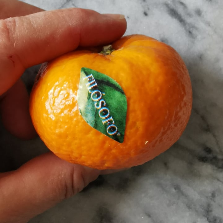 Filosofo Mandaranci Review | abillion