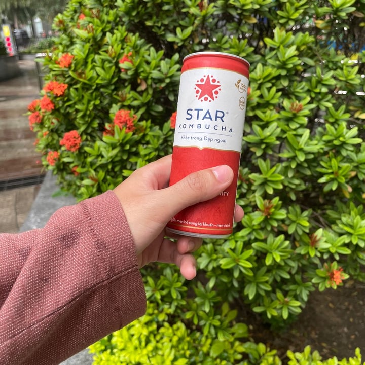 star kombucha pomegranate kombucha Review | abillion