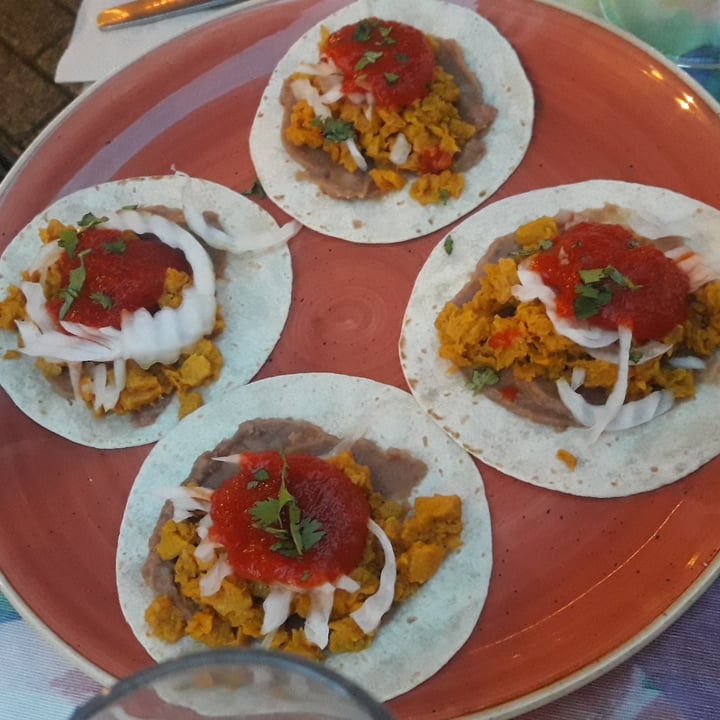 La Galla Tasca Vegana Gijón, Spain tacos canallas Review | abillion
