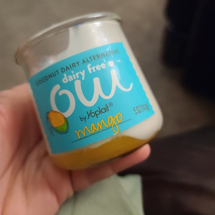 Yoplait Dairy Free Oui Mango Review | abillion